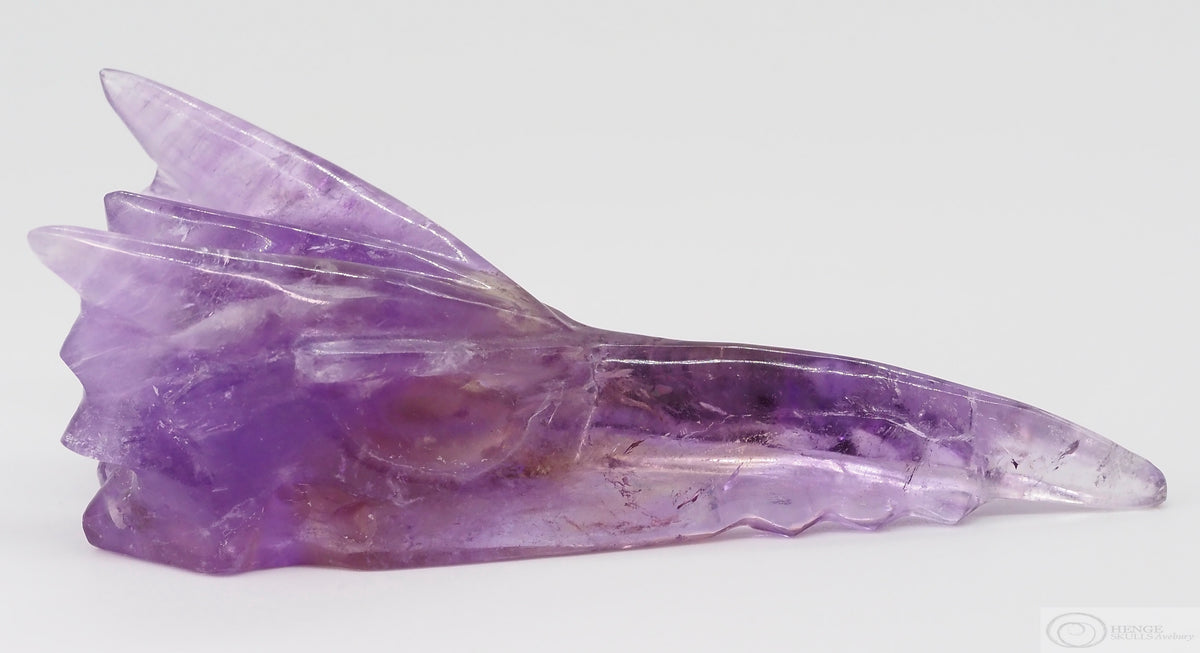 Amethyst Phoenix Skull (Am51) – Henge Skulls