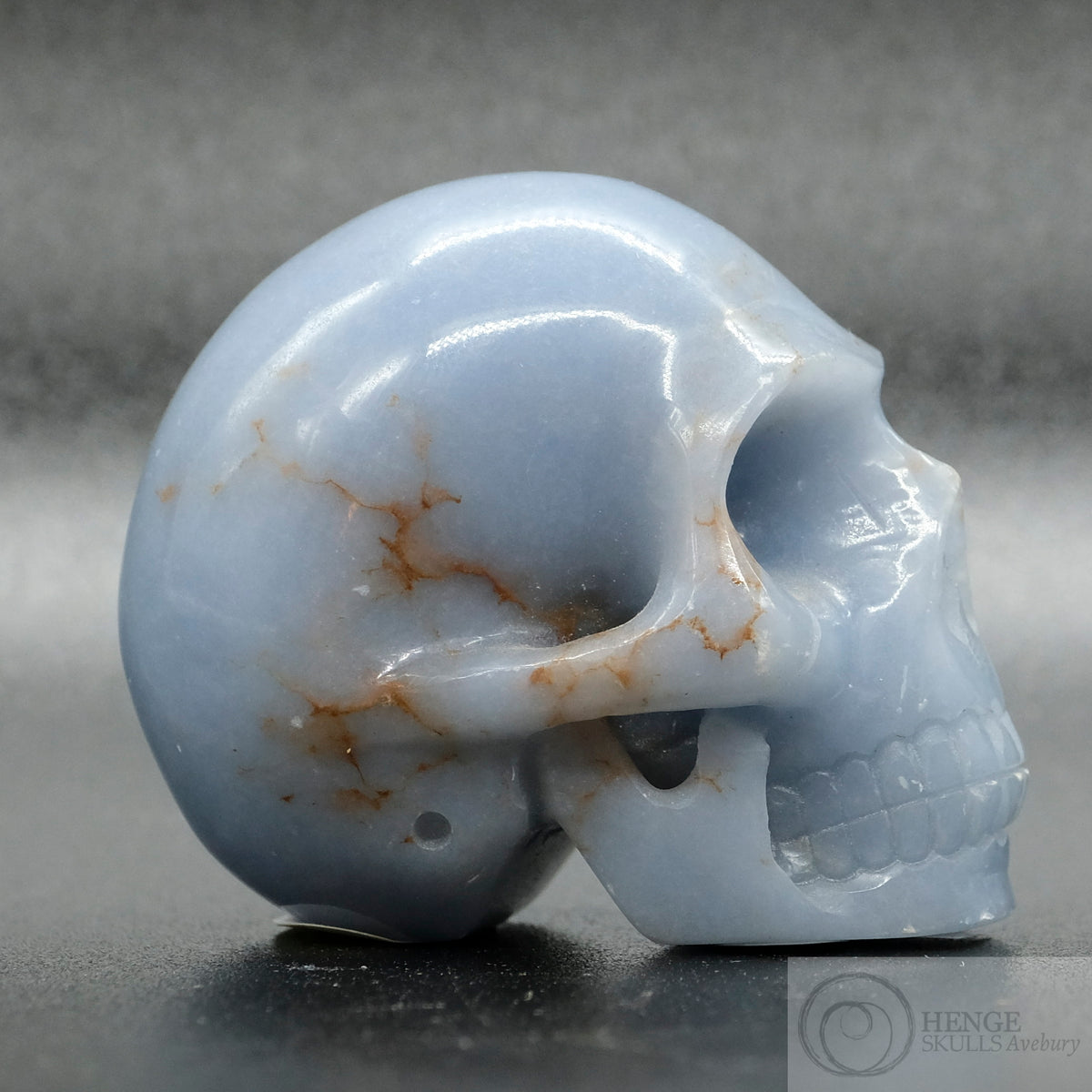Angelite Human Skull – Henge Skulls