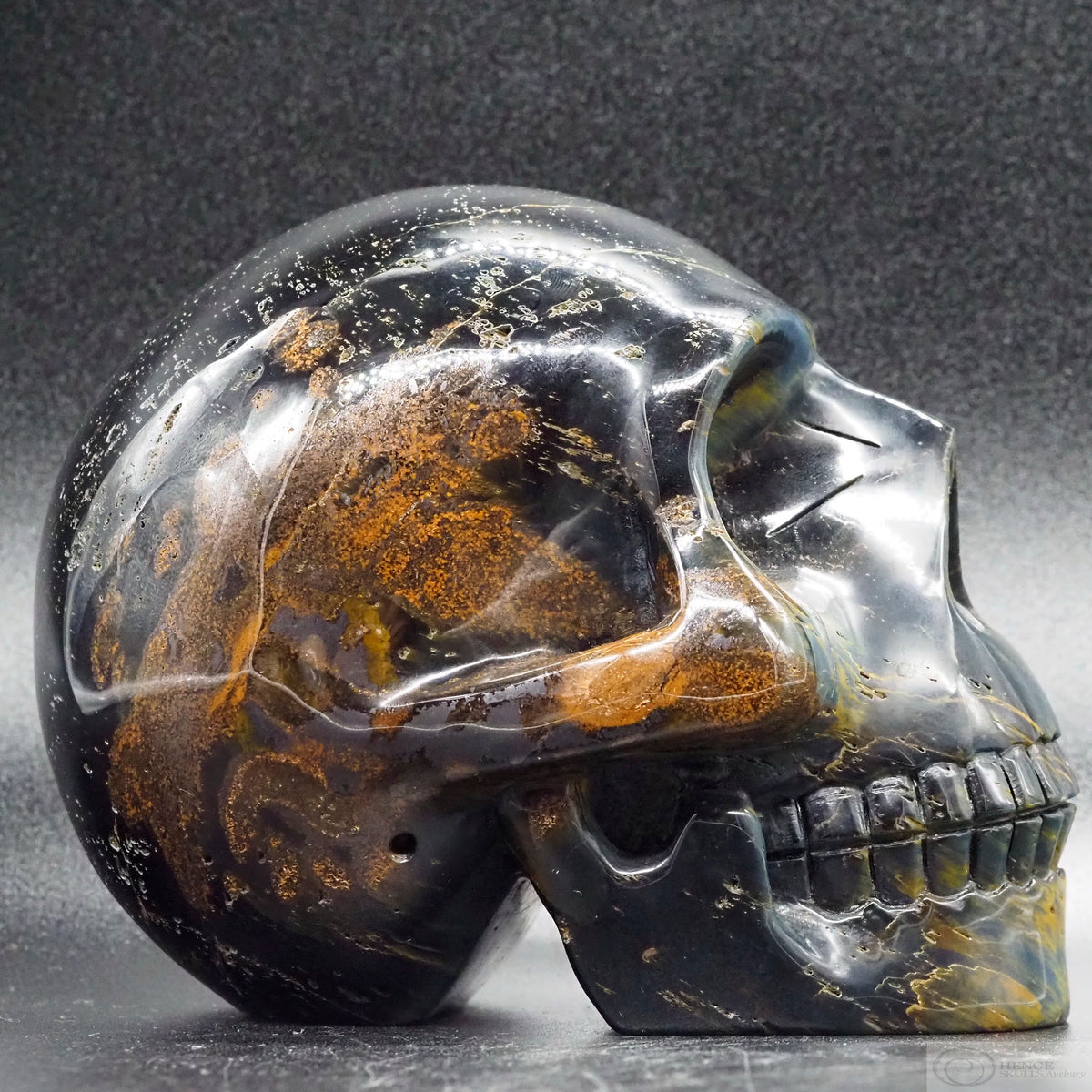 Hawk Eye Human Skull (HE01) – Henge Skulls
