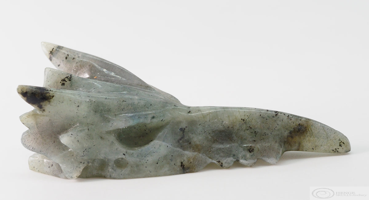 Labradorite Phoenix Skull (LAB52) – Henge Skulls
